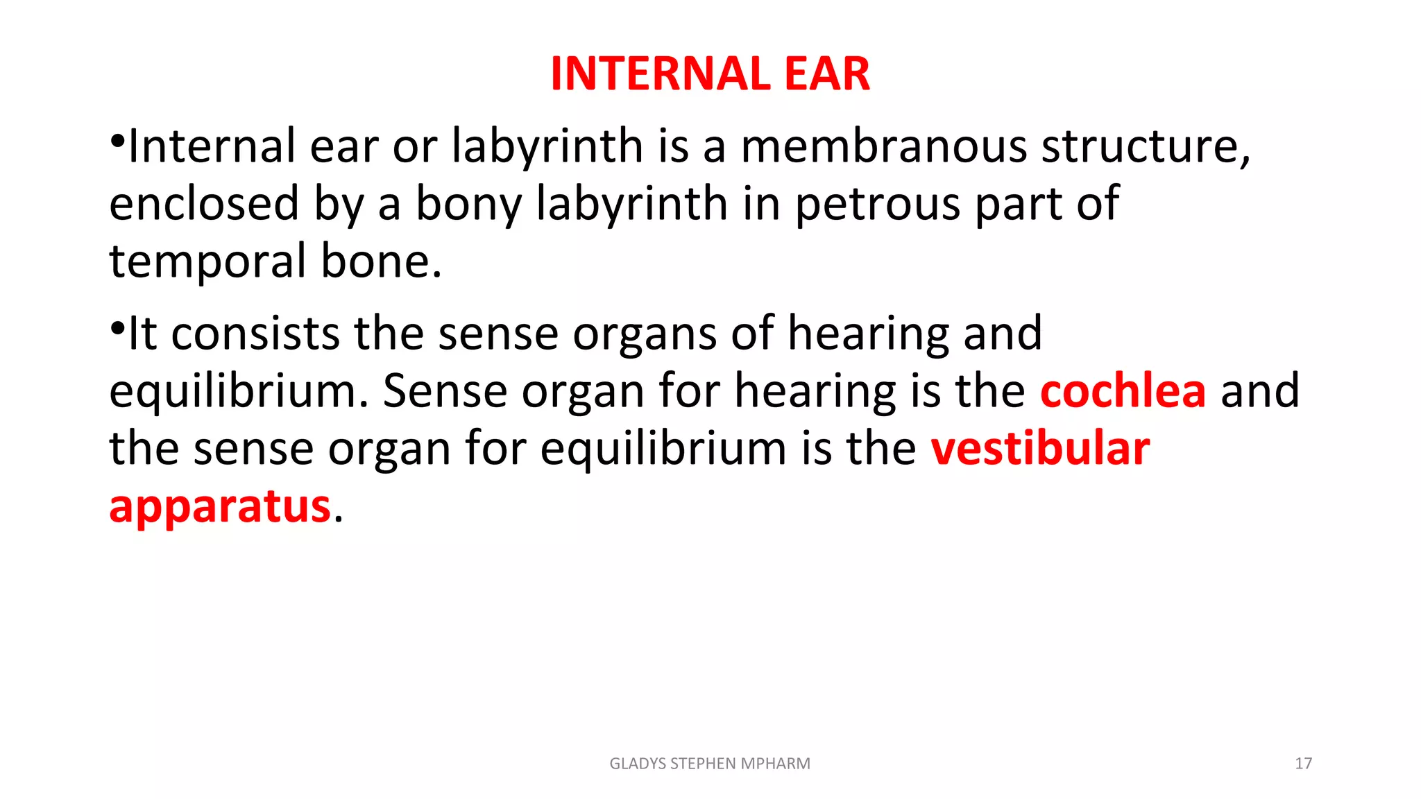 SENSE ORGANS | PPT