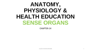 SENSE ORGANS | PPT
