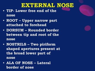 Sense organs | PPTX