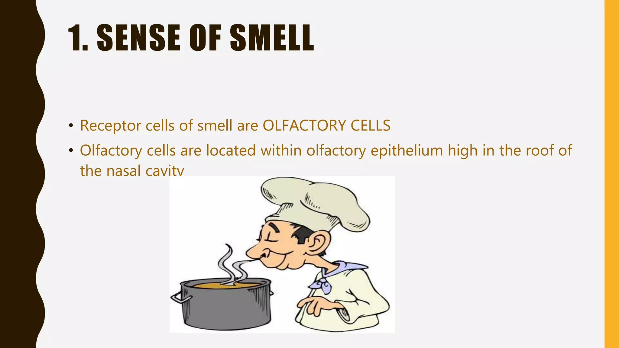 Sense organs | PPTX | Ear, Nose and Throat Conditions | Diseases and ...