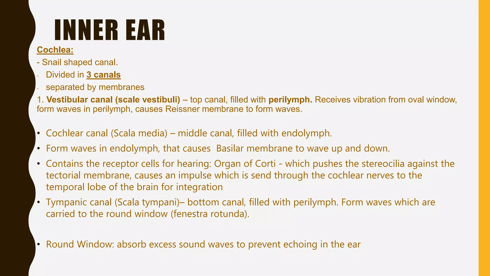 Sense organs | PPTX | Ear, Nose and Throat Conditions | Diseases and ...
