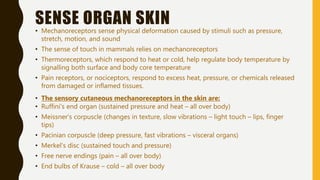 Sense organs | PPTX | Ear, Nose and Throat Conditions | Diseases and ...