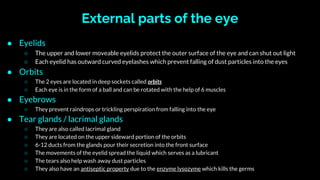 Sense organs | PPTX