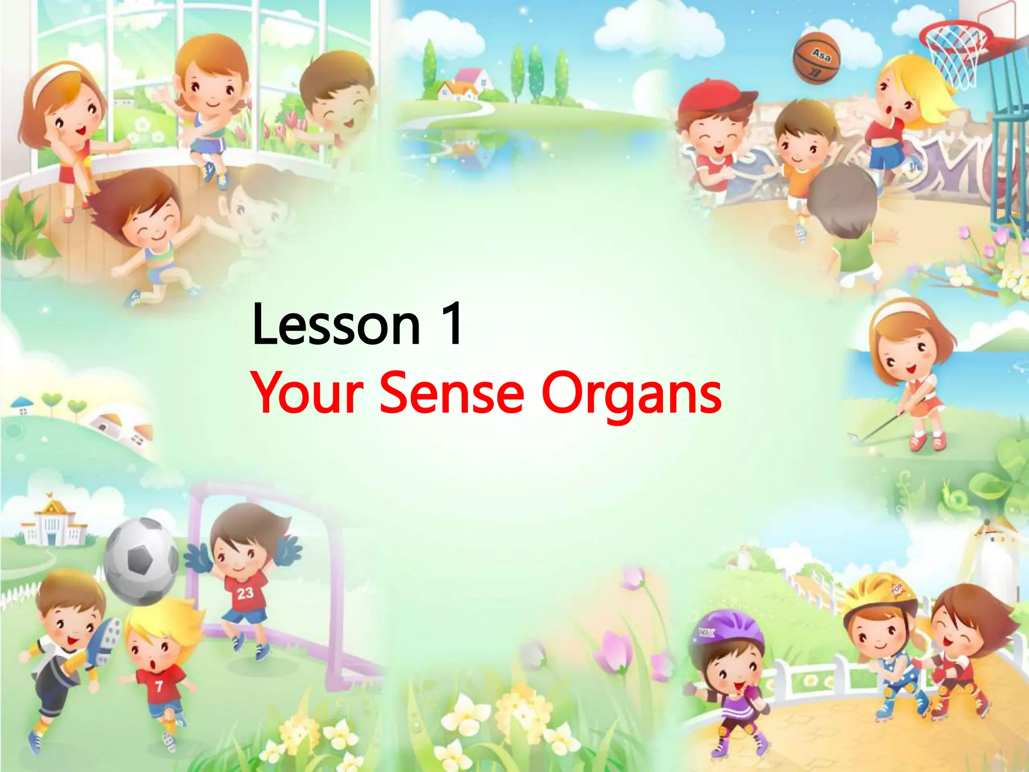 SENSE ORGANS.pptx