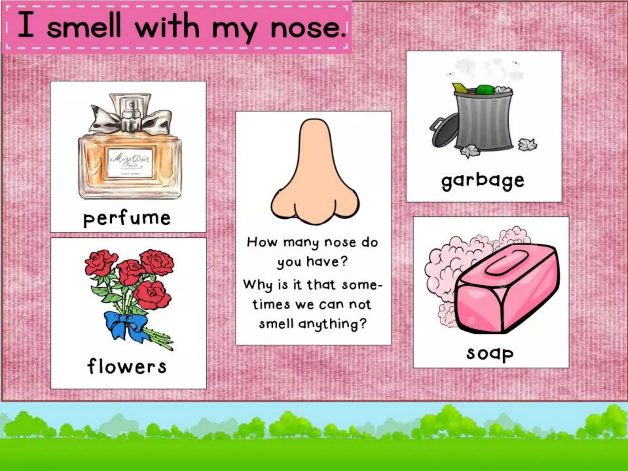 SENSE ORGANS.pptx
