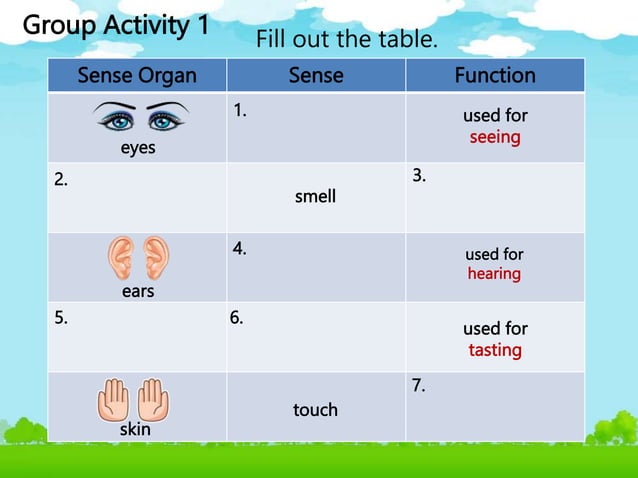 SENSE ORGANS.pptx