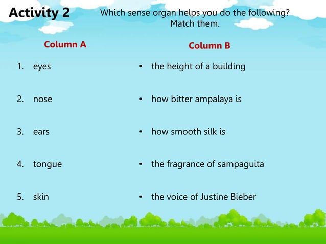 SENSE ORGANS.pptx