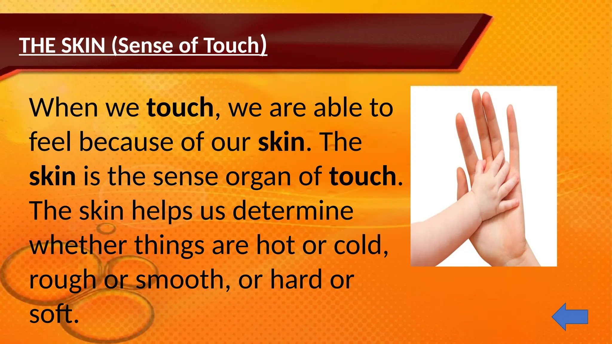 SENSE ORGANS of a human by dalongue elem | PPTX