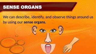 SENSE ORGANS of a human by dalongue elem | PPT