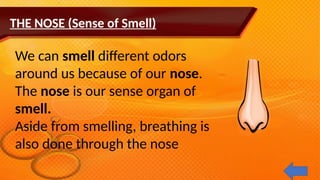 SENSE ORGANS of a human by dalongue elem | PPTX