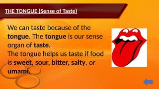 SENSE ORGANS of a human by dalongue elem | PPTX