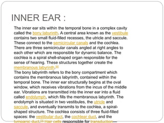 Sense organs ear | PPTX