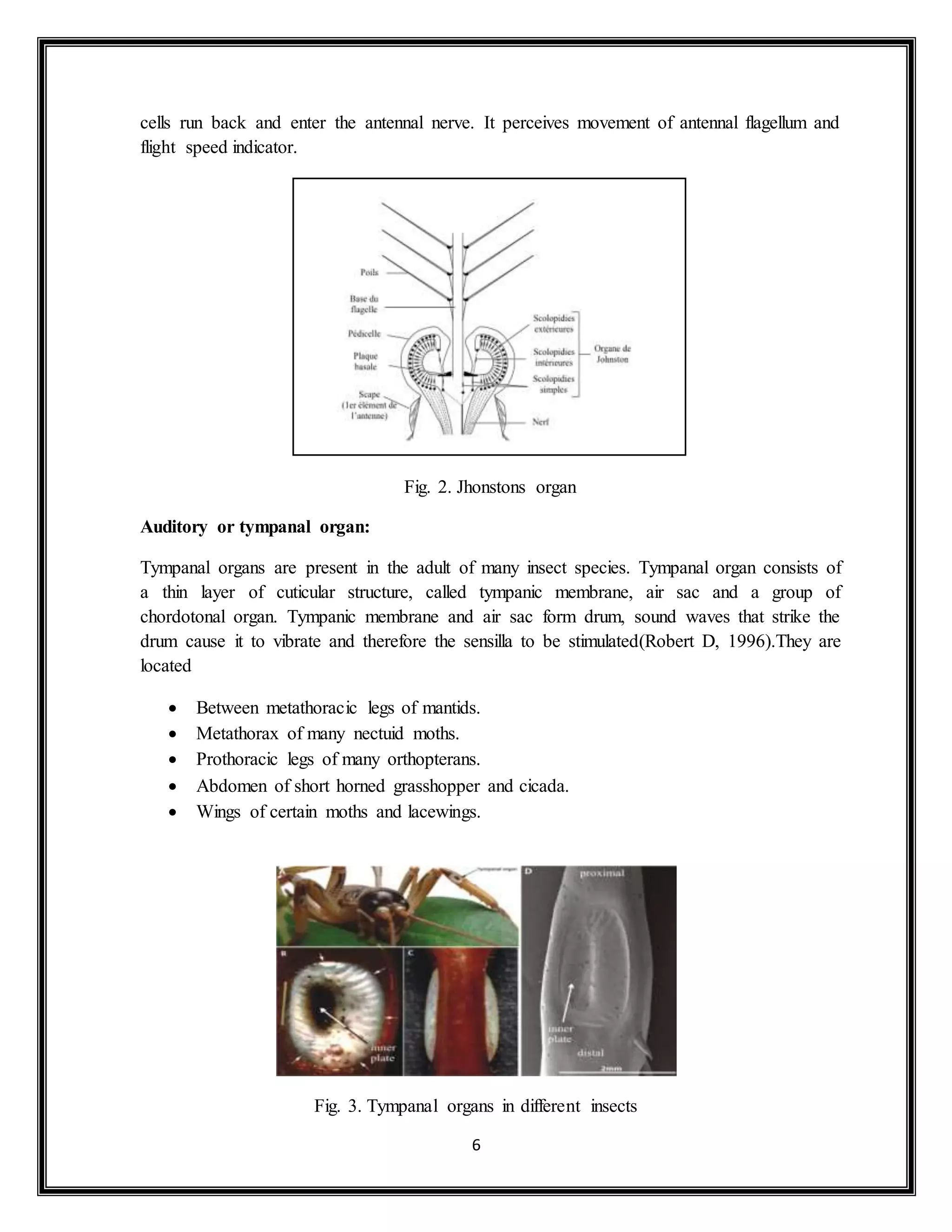 Sense organs and nutritive requirements | DOCX