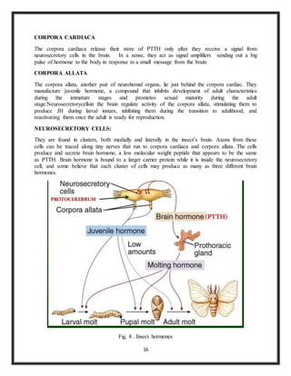 Sense organs and nutritive requirements | DOCX | Geography | Science