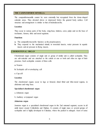 Sense organs and nutritive requirements | DOCX | Geography | Science