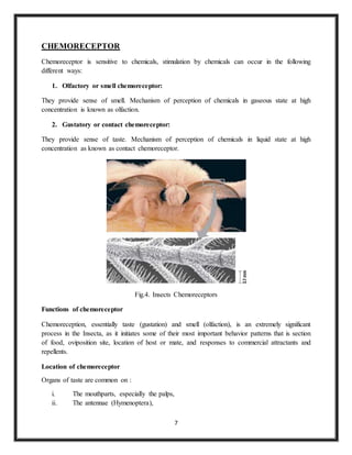 Sense organs and nutritive requirements | DOCX | Geography | Science