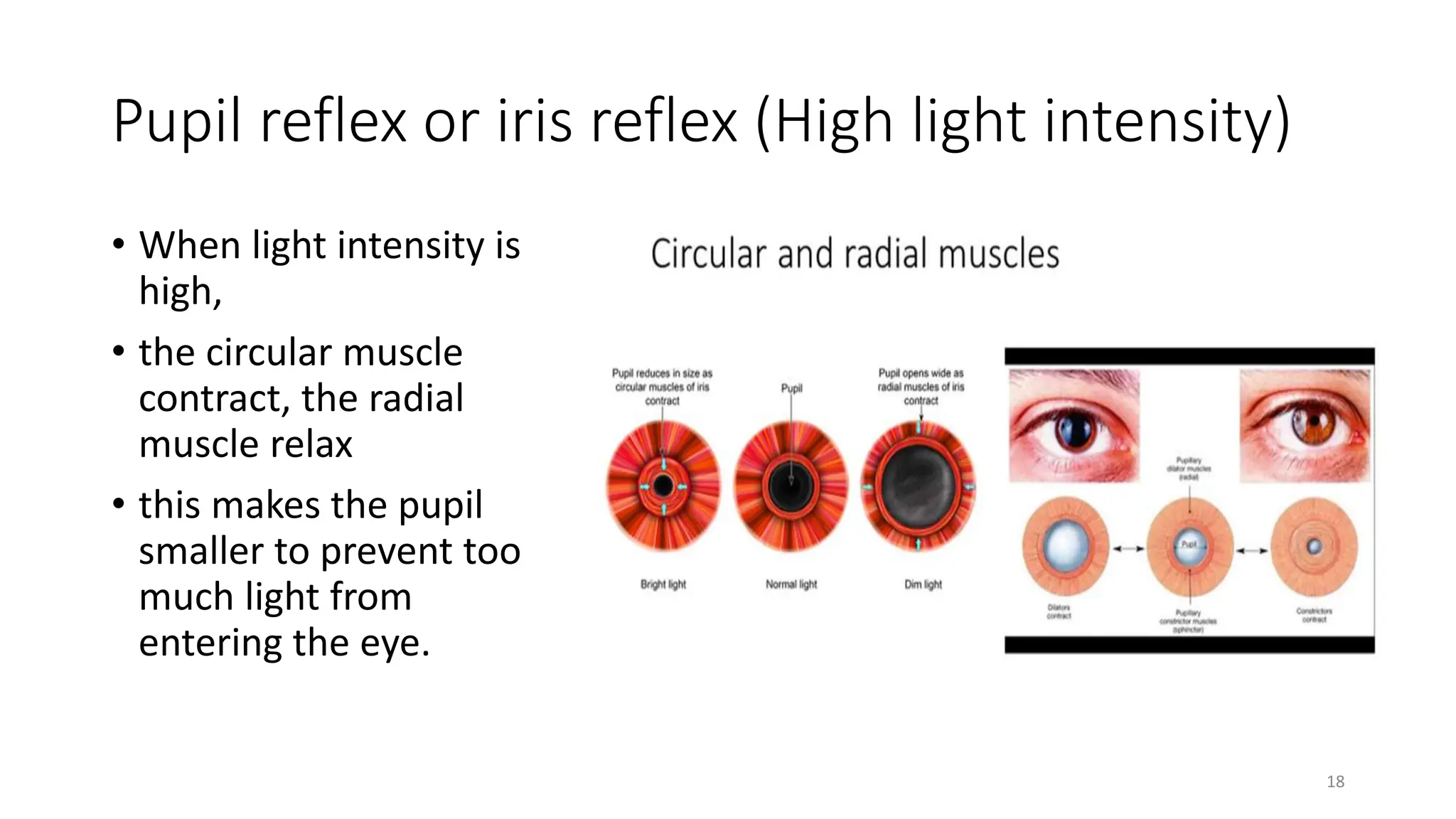 SENSE_ORGANS_COORDINATION_AND_RESPONSE.pptx