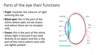 SENSE_ORGANS_COORDINATION_AND_RESPONSE.pptx