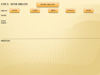 Sense organs diagram.english | PDF
