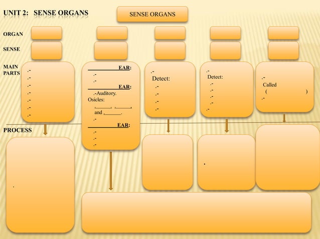 Sense organs diagram.english | PDF