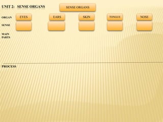 Sense organs diagram.english | PDF