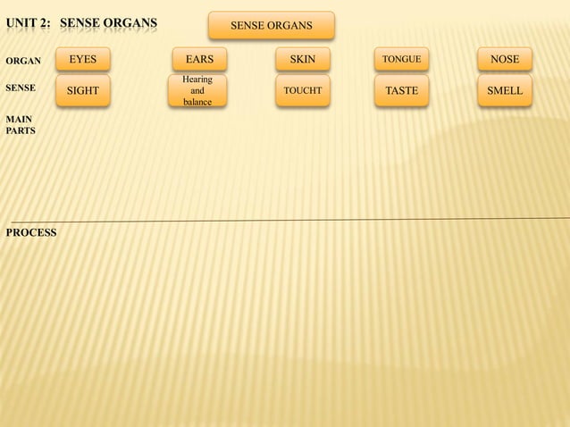 Sense organs diagram.english | PDF