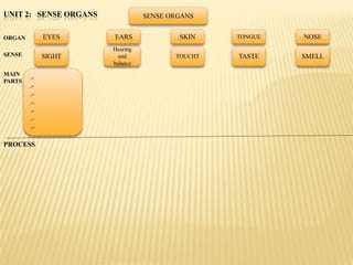 Sense organs diagram.english | PDF