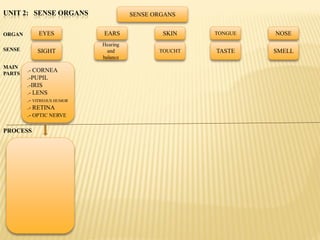 Sense organs diagram.english | PDF