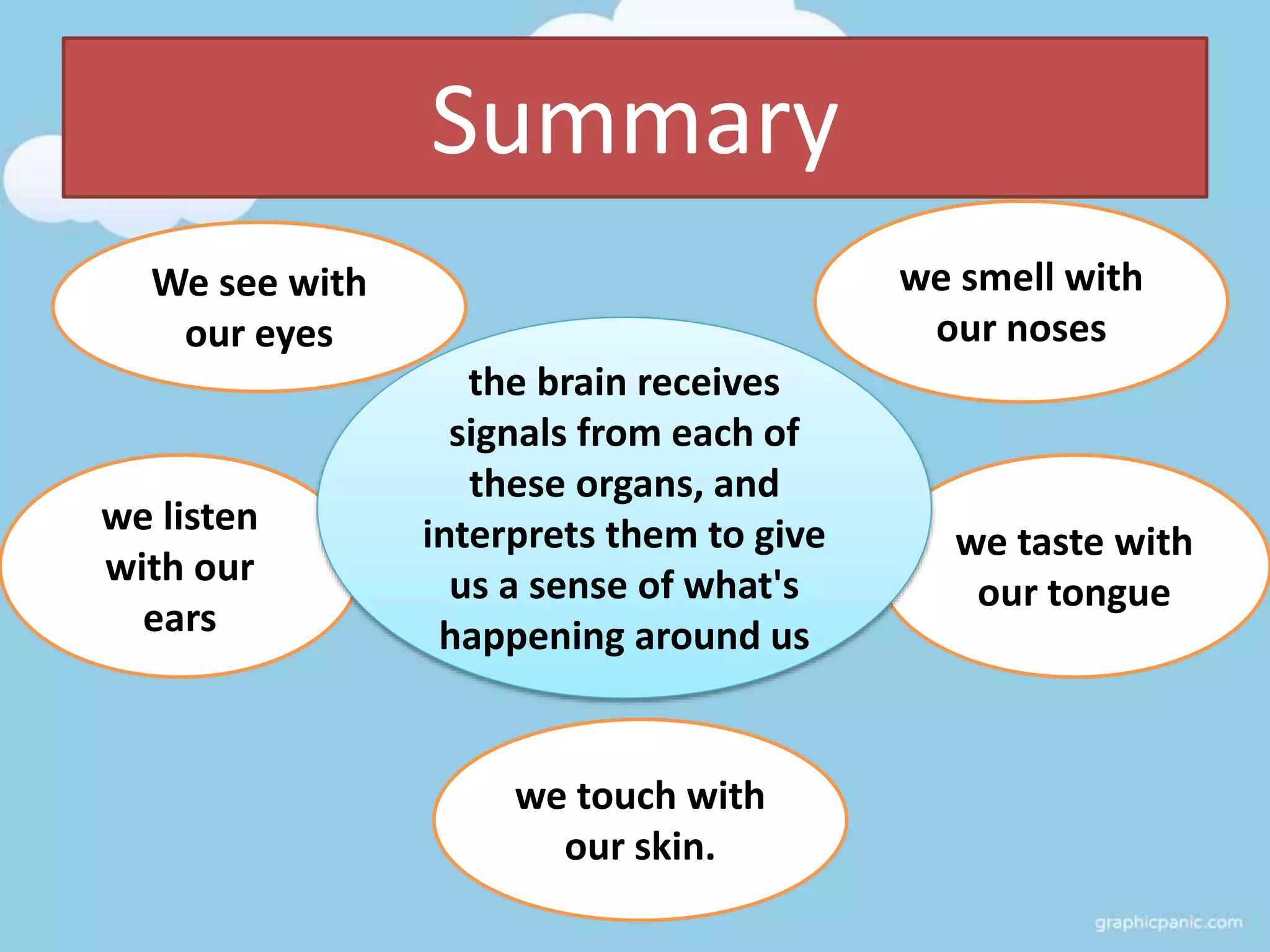 Sense organs of the human body | PPTX