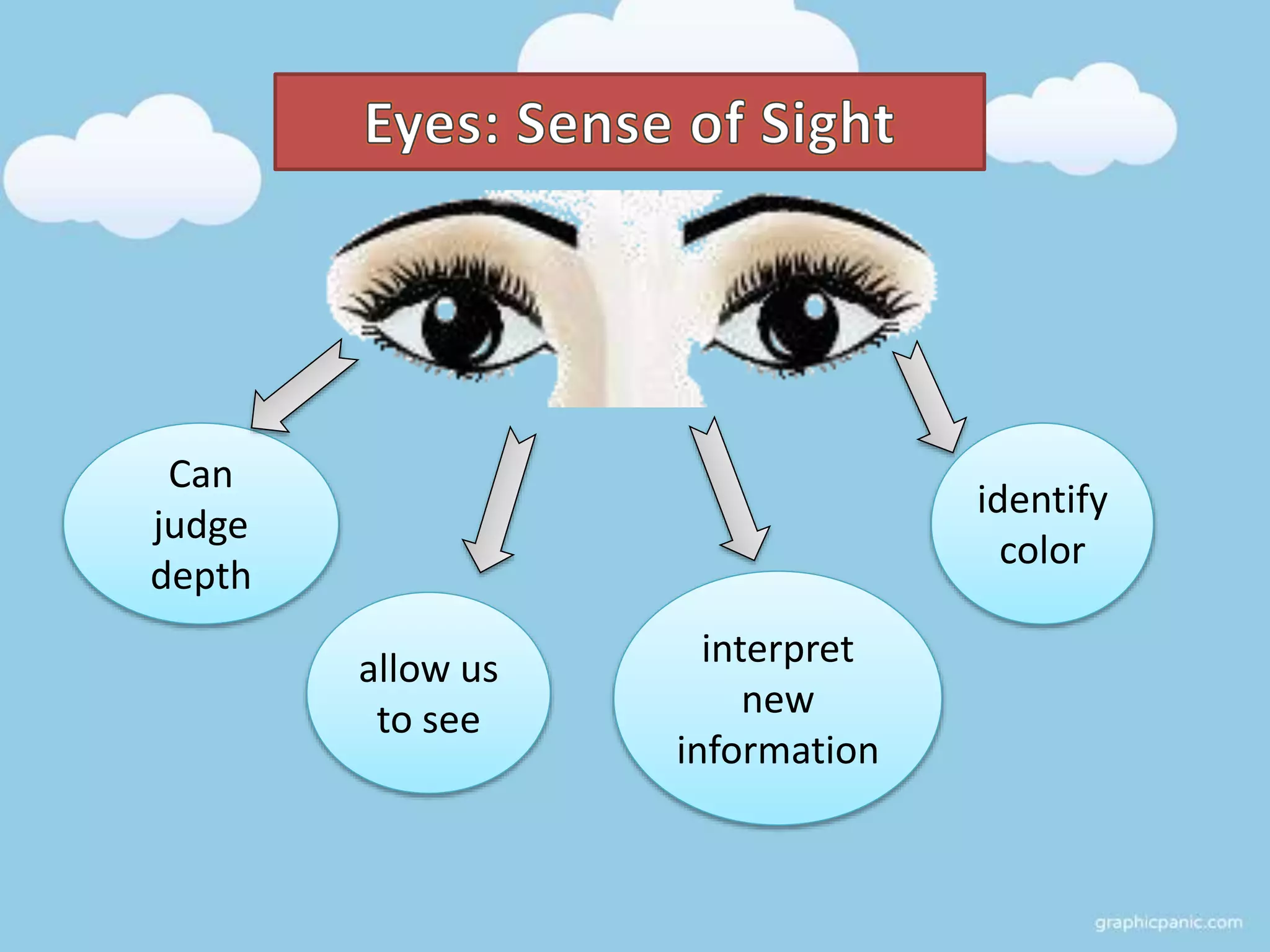 Sense organs of the human body | PPTX