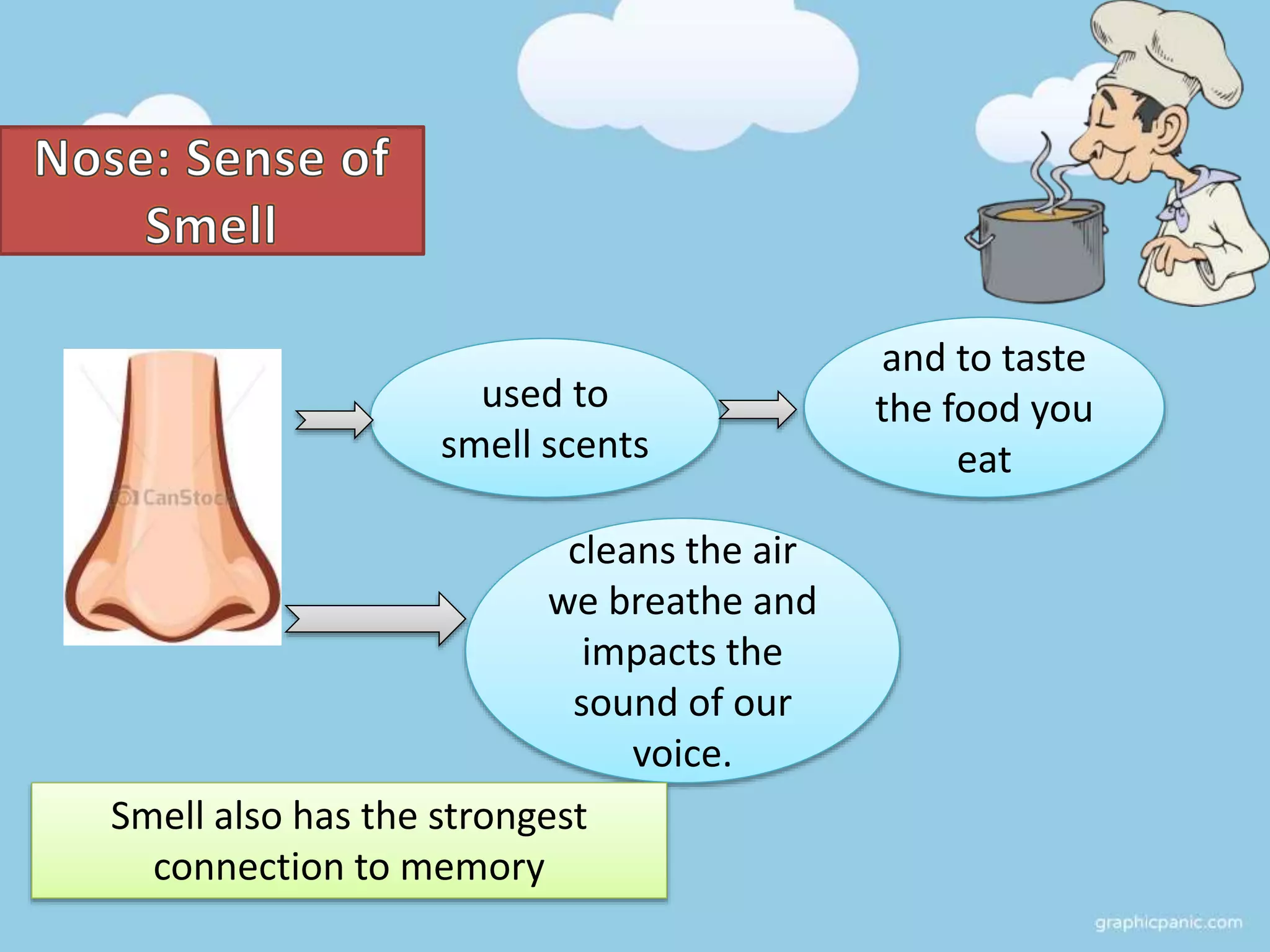Sense organs of the human body | PPTX