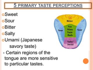 SENSE ORGANS EYES SKIN AND TONGUE.pptx