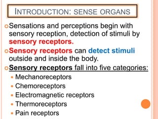 SENSE ORGANS EYES SKIN AND TONGUE.pptx