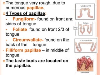 SENSE ORGANS EYES SKIN AND TONGUE.pptx