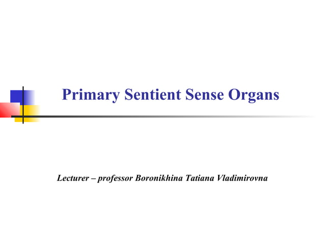 Sense organs | PPT