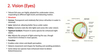 Sense_Organs_in_Teleosts and other fishes.pptx