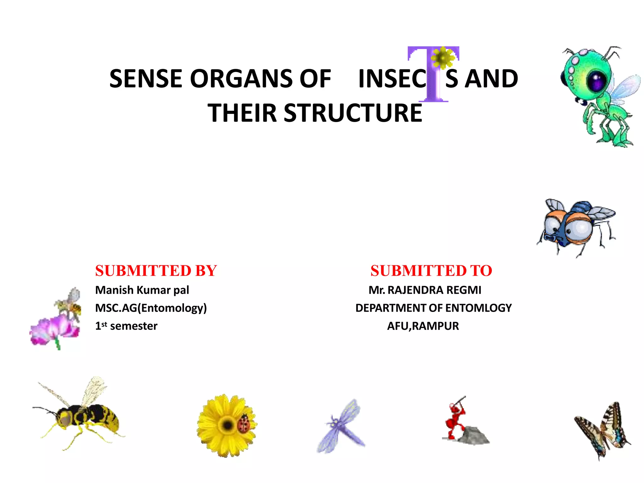 senseorgansofinsectsandtheirstructure-180508155900.pptx