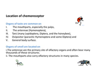 senseorgansofinsectsandtheirstructure-180508155900.pptx