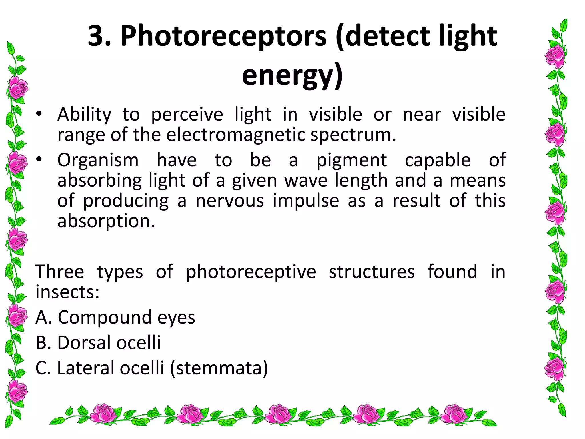 Sense organs of insects and their structure | PPTX