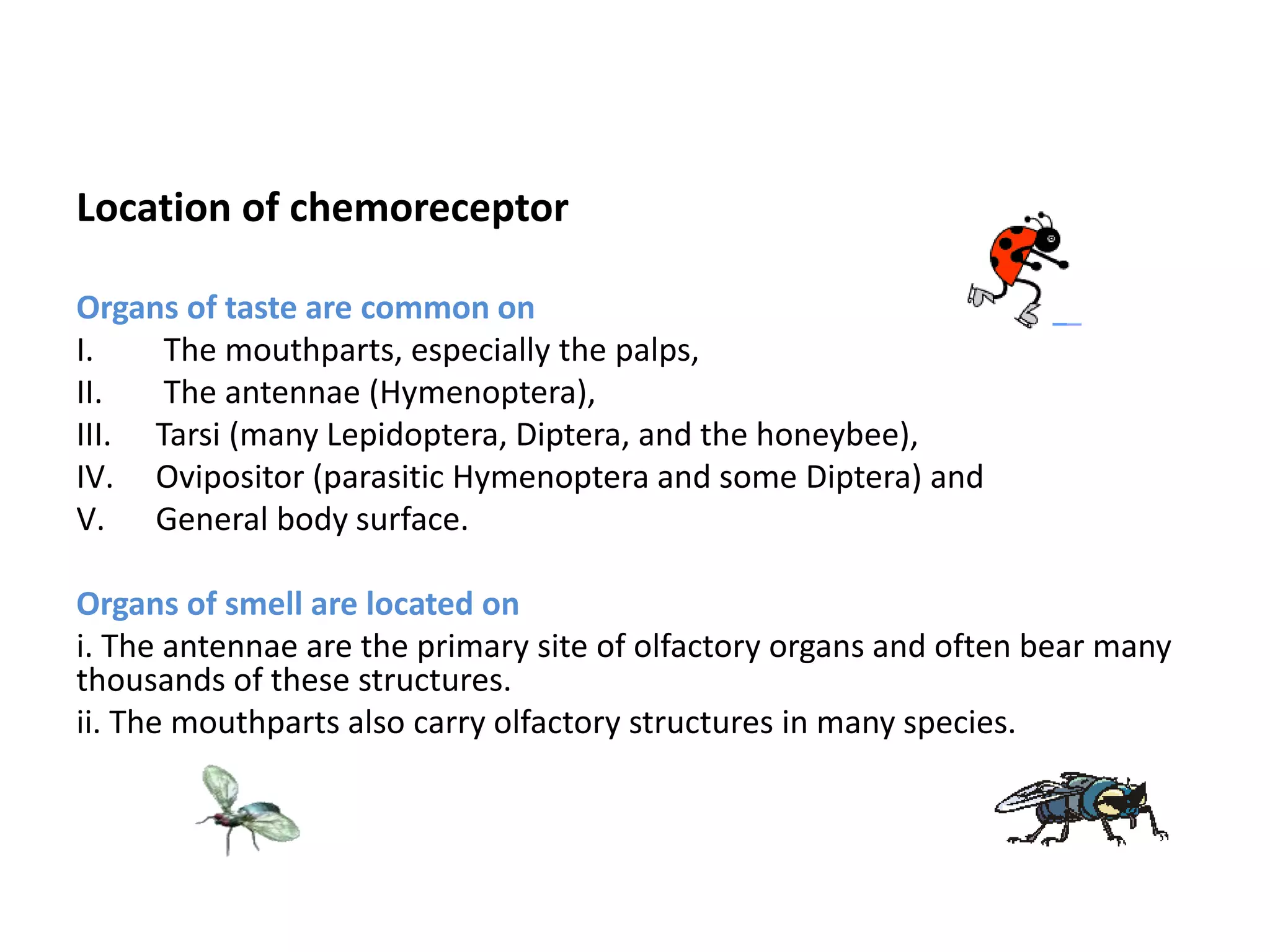 Sense organs of insects and their structure | PPTX