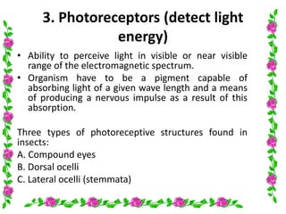 Sense organs of insects and their structure | PPTX