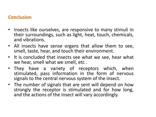 Sense organs of insects and their structure | PPTX | Eye and Vision ...