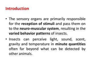 Sense organs of insects and their structure | PPTX