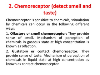 Sense organs of insects and their structure | PPTX