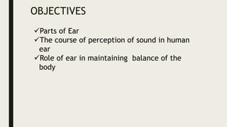 SENSE ORGANS PART 2.pptx
