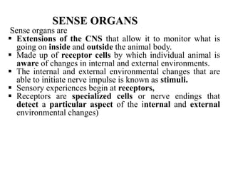 SENSE_ORGANS_physiology[1].pptx