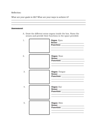 SENSE ORGAN WORKSHEET.docx
