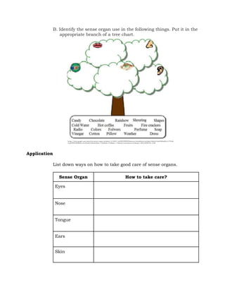 SENSE ORGAN WORKSHEET.docx