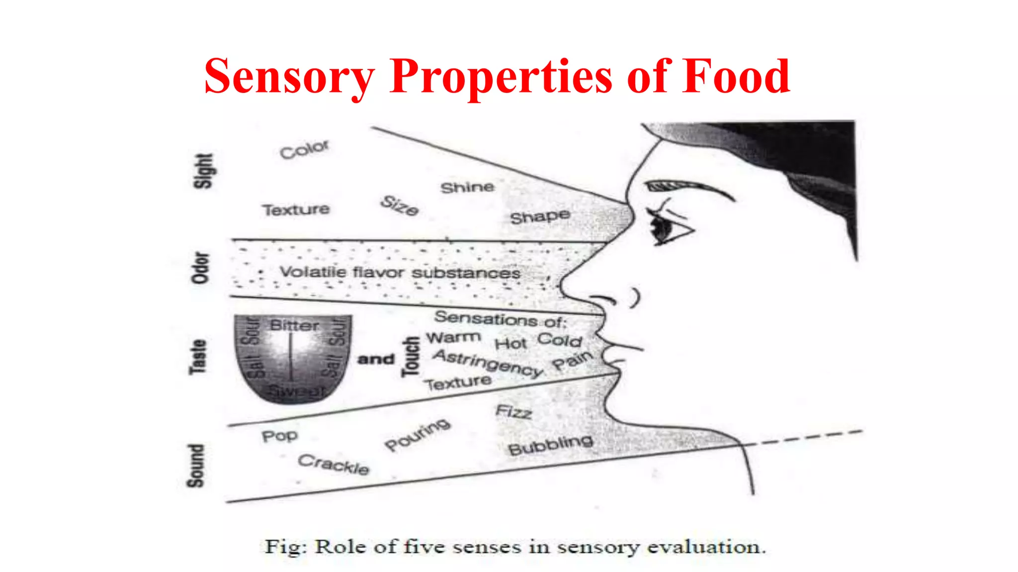 SENSEORY EVALUATION.pptx