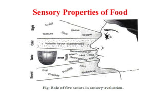 SENSEORY EVALUATION.pptx